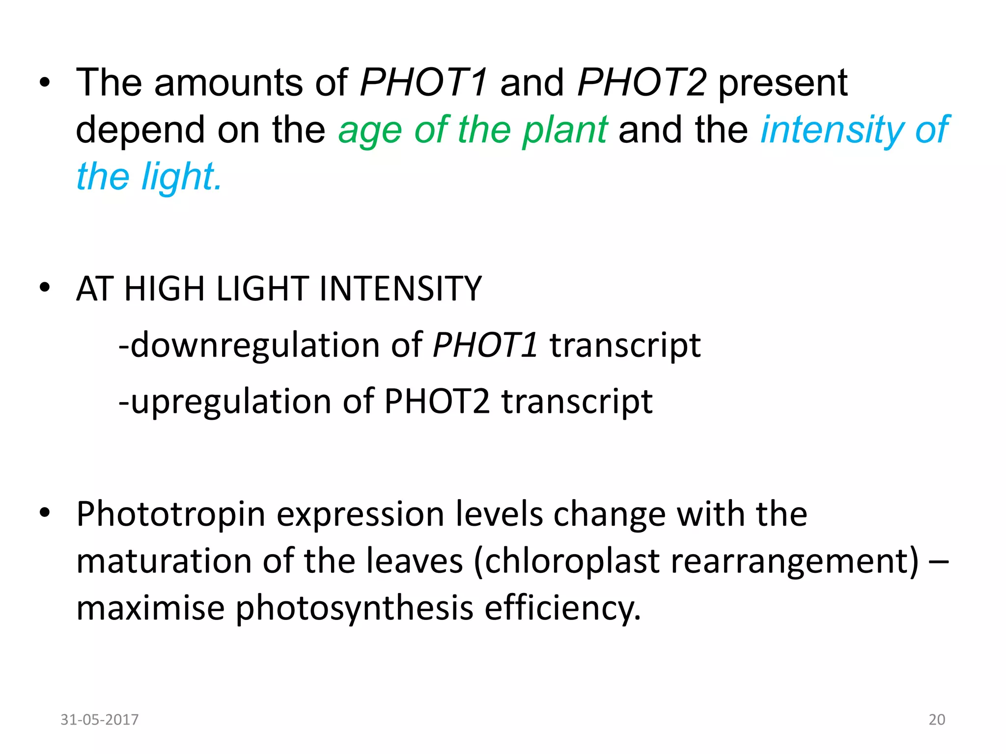 Phototropism ppt | PPTX