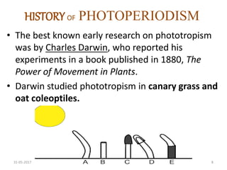 Phototropism ppt | PPTX