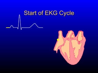 Php403 03-ekgCardiac electrophysiology | PPT