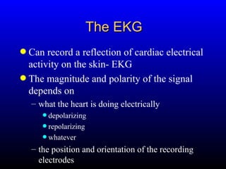 Php403 03-ekgCardiac electrophysiology | PPT