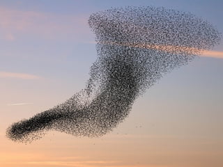 PHP development for large agile projects | PPT