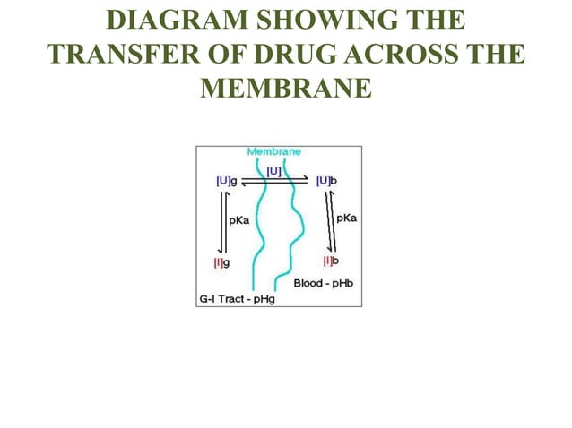 P h partition hypothesis | PPTX