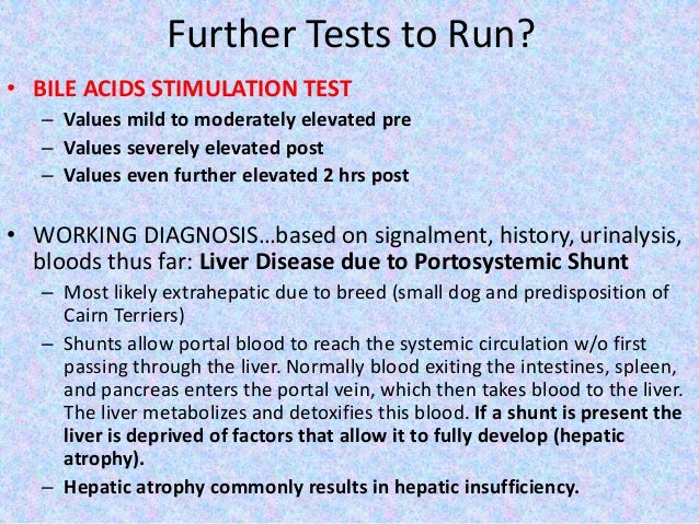 PHP Clinical Pathology Case