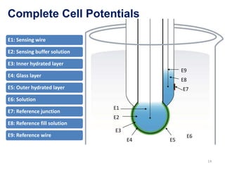 Basics of pH | PPTX | Chemistry | Science