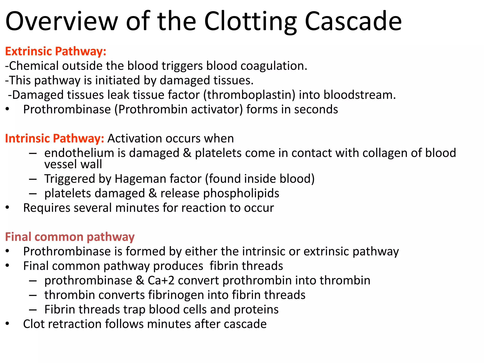Blood/Platelets/Blood Clotting/Blood Groups | PPTX