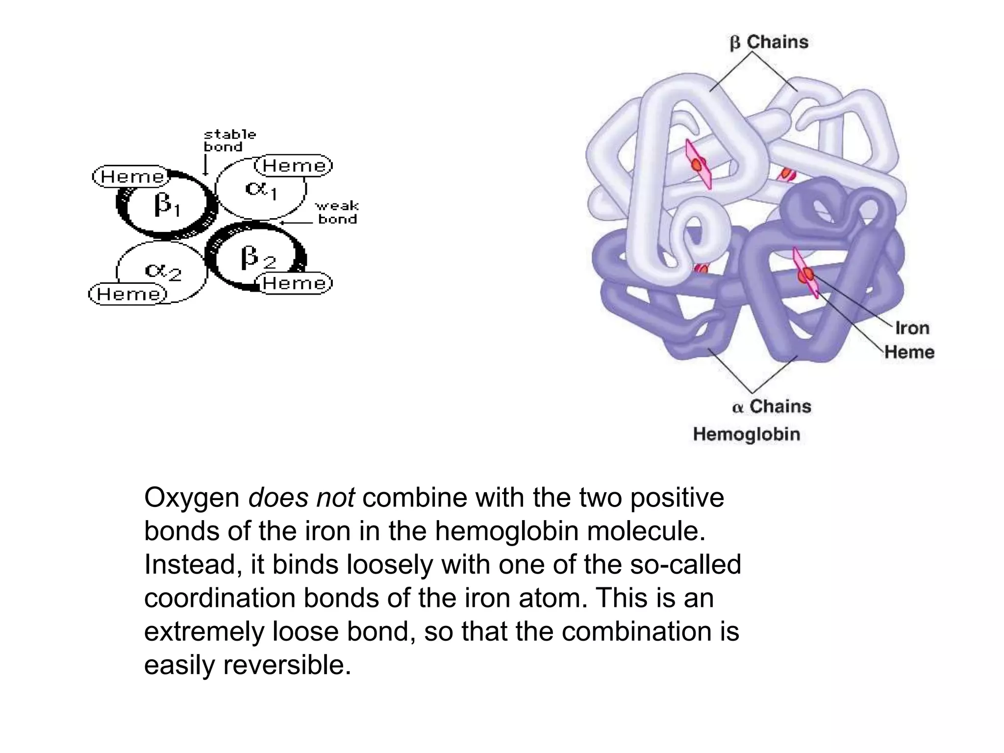 Blood (RBC, Anemia, Polycythemia) | PPTX