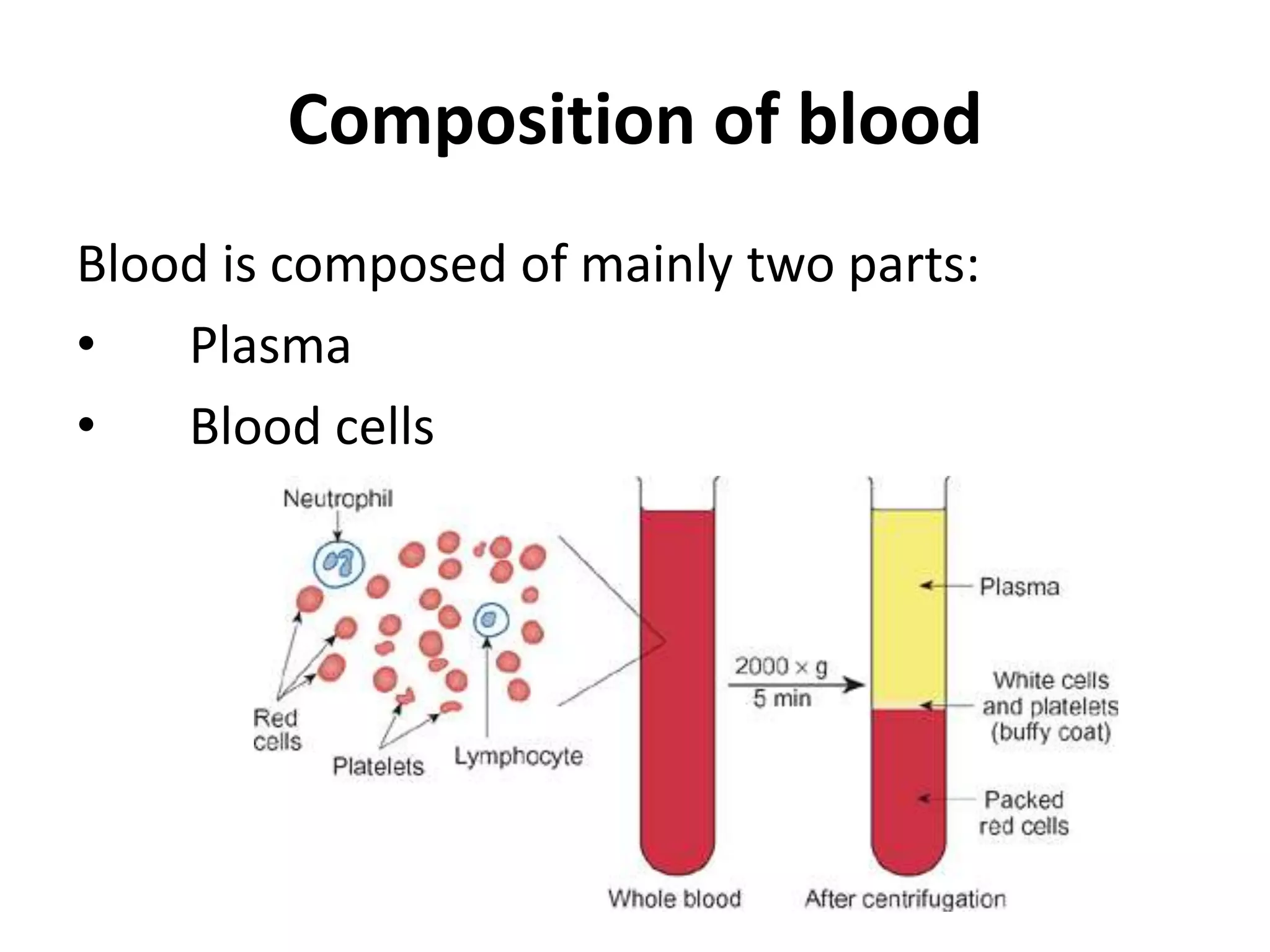 Blood (RBC, Anemia, Polycythemia) | PPTX