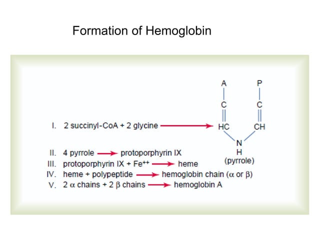 Blood (RBC, Anemia, Polycythemia) | PPTX | Blood Disorders | Diseases ...