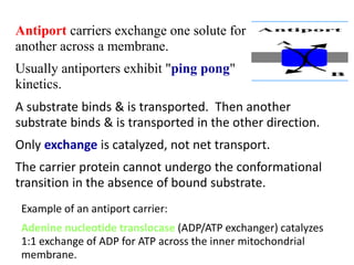 Cell Membrane Transport/Factors/Transport of Substances | PPTX