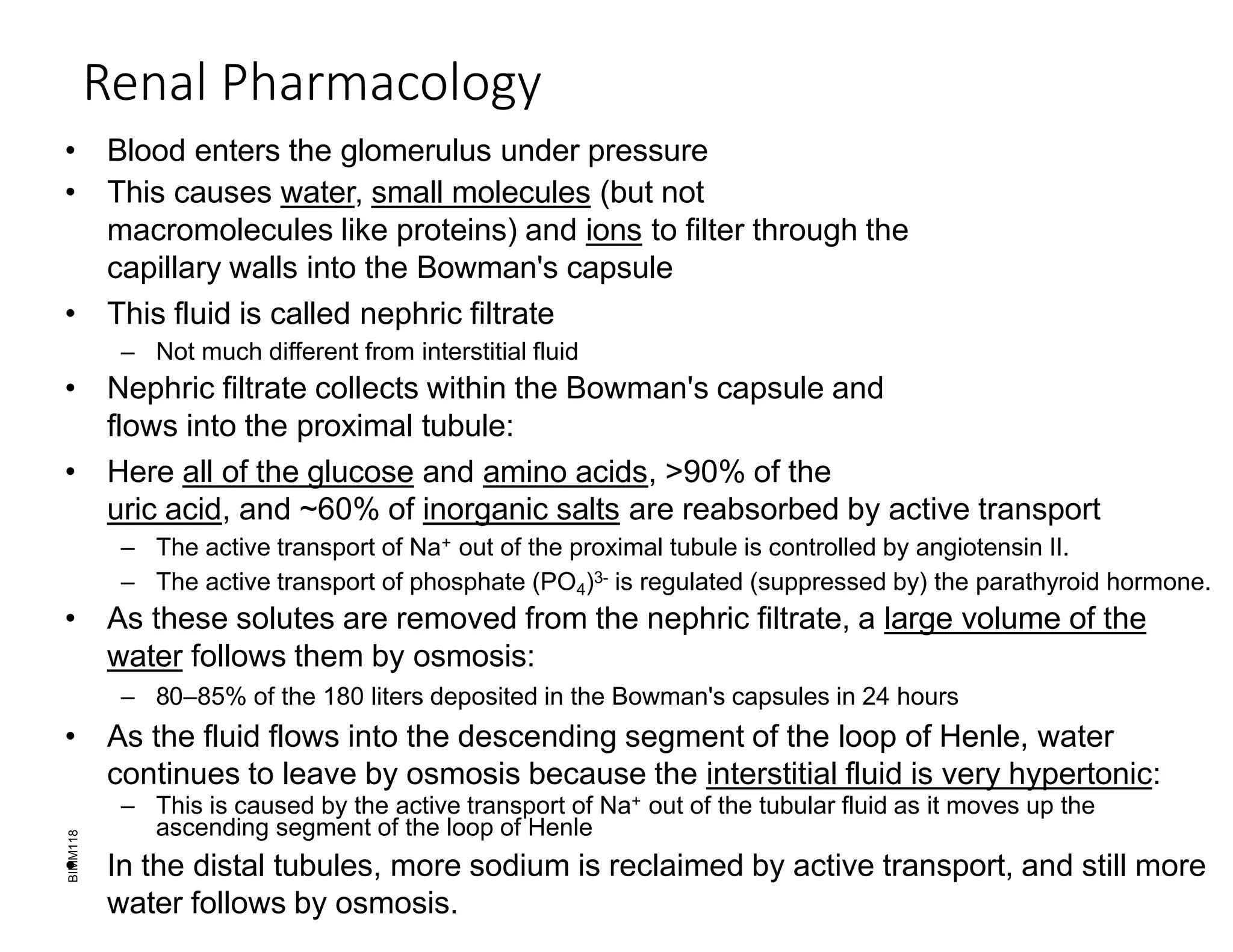 Renal Pharmacology ( Diuretics) | PPTX