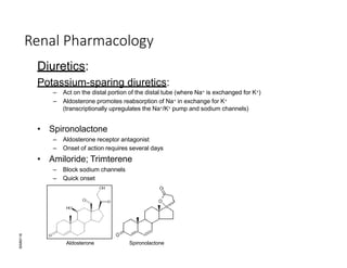 Renal Pharmacology ( Diuretics) | PPTX