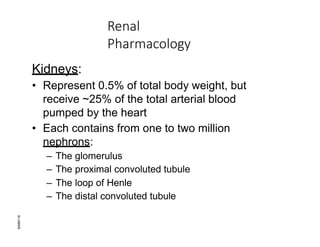 Renal Pharmacology ( Diuretics) | PPTX