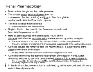 Renal Pharmacology ( Diuretics) | PPTX