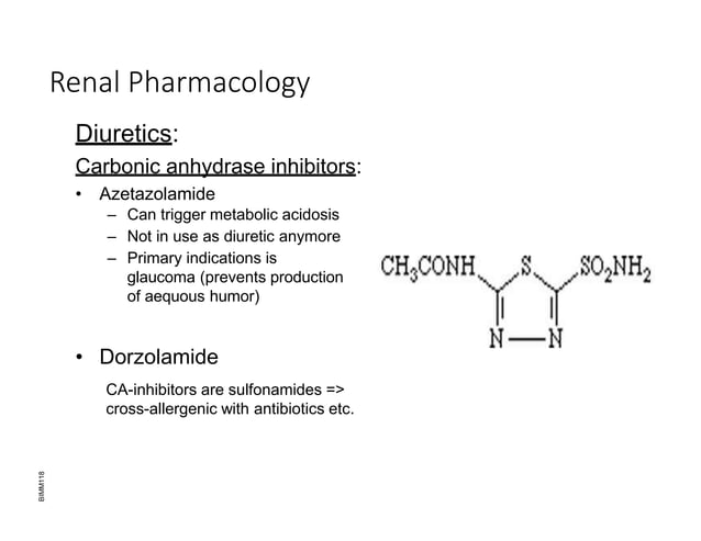 Renal Pharmacology ( Diuretics) | PPTX