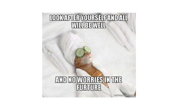 Phrasal verbs in memes | PPTX