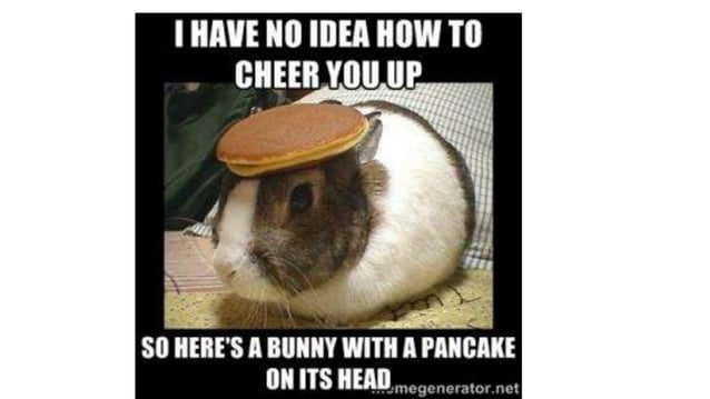 Phrasal verbs in memes | PPTX