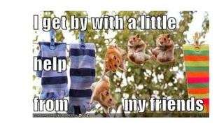 Phrasal verbs in memes | PPT