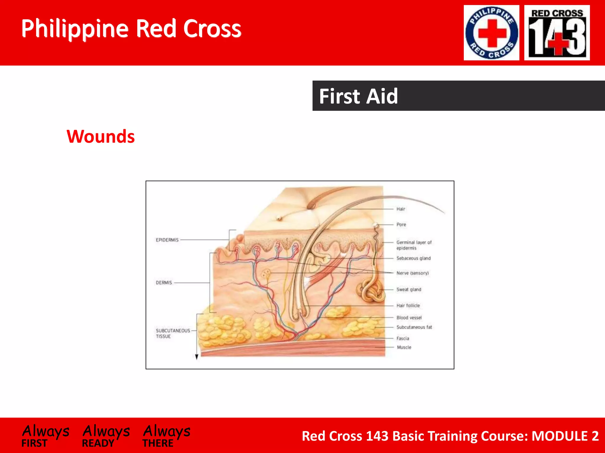 Philippine Red Cross BLS-CPR.ppt