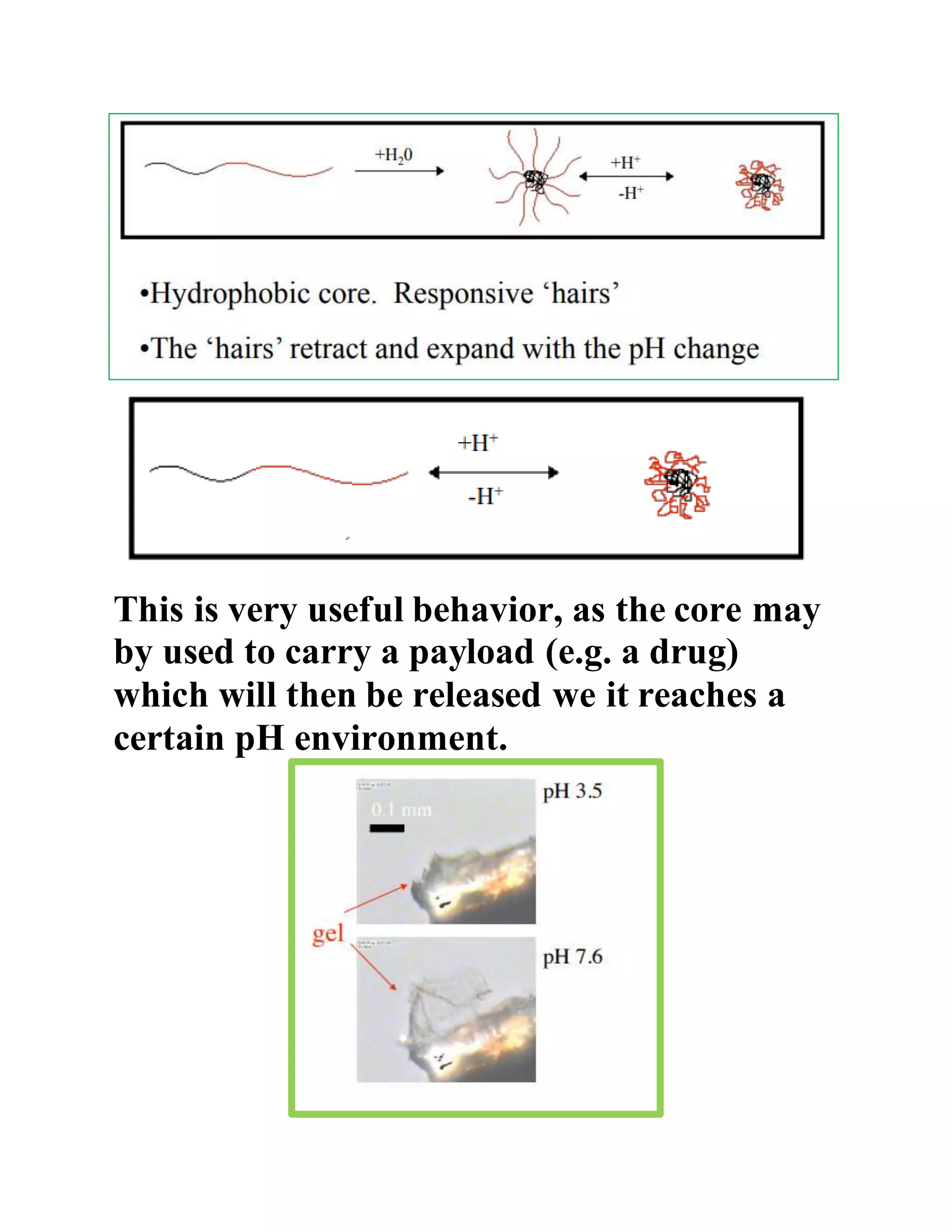 pH responsive polymers in polymer chemistry | DOCX