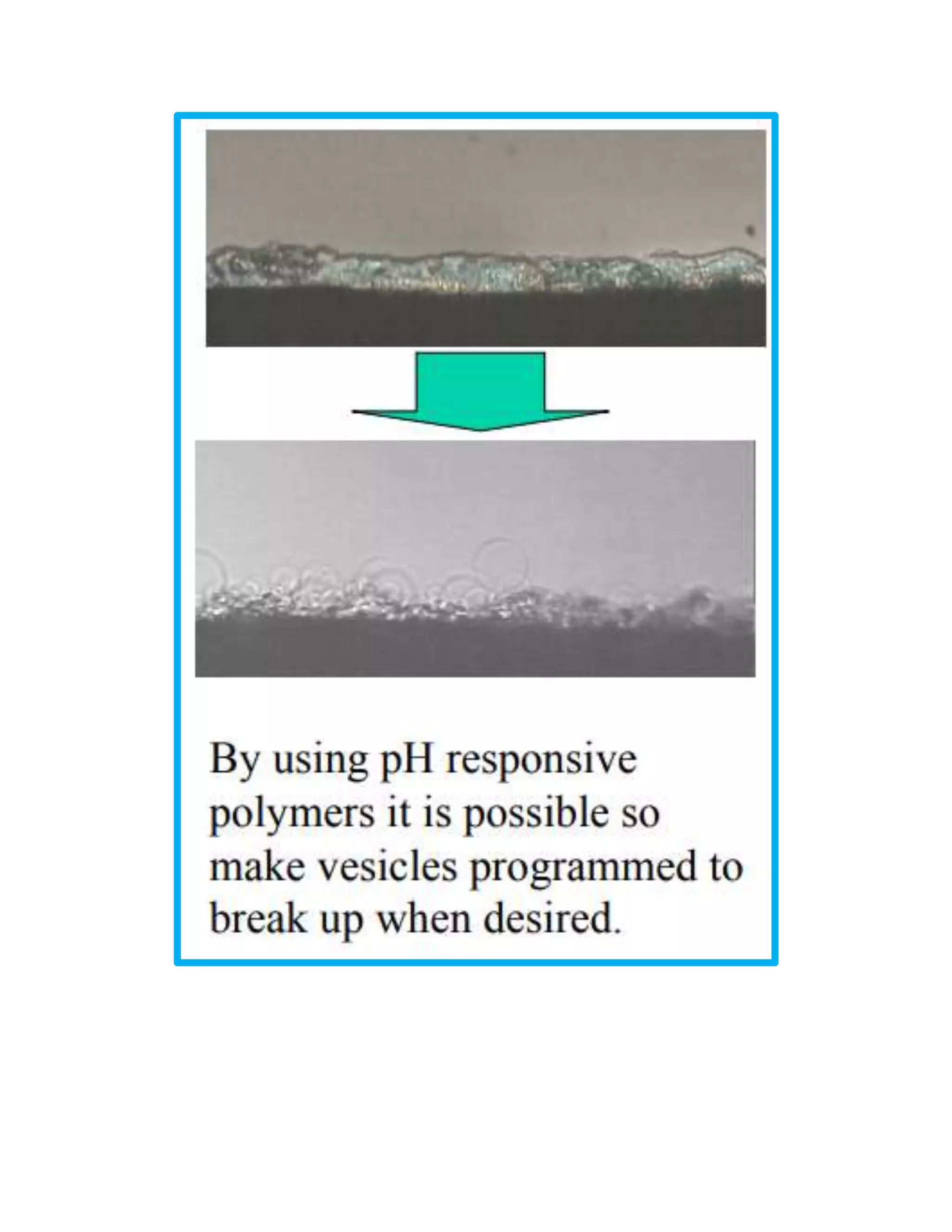 pH responsive polymers in polymer chemistry | DOCX