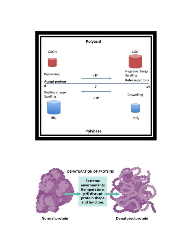 pH responsive polymers in polymer chemistry | PDF