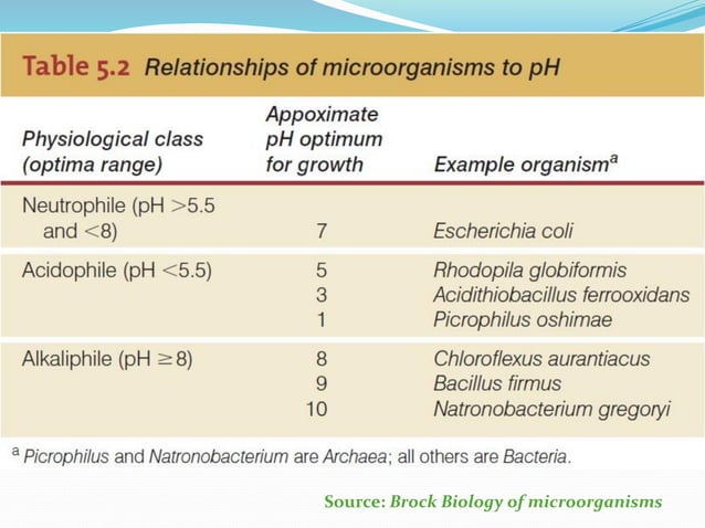 Bacterial growth and pH | PDF