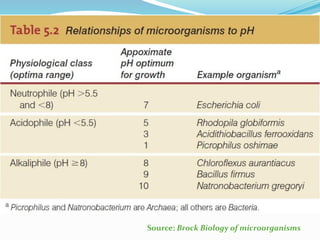 Acidophilic Bacteria