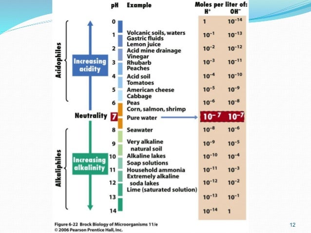 Bacterial growth and pH
