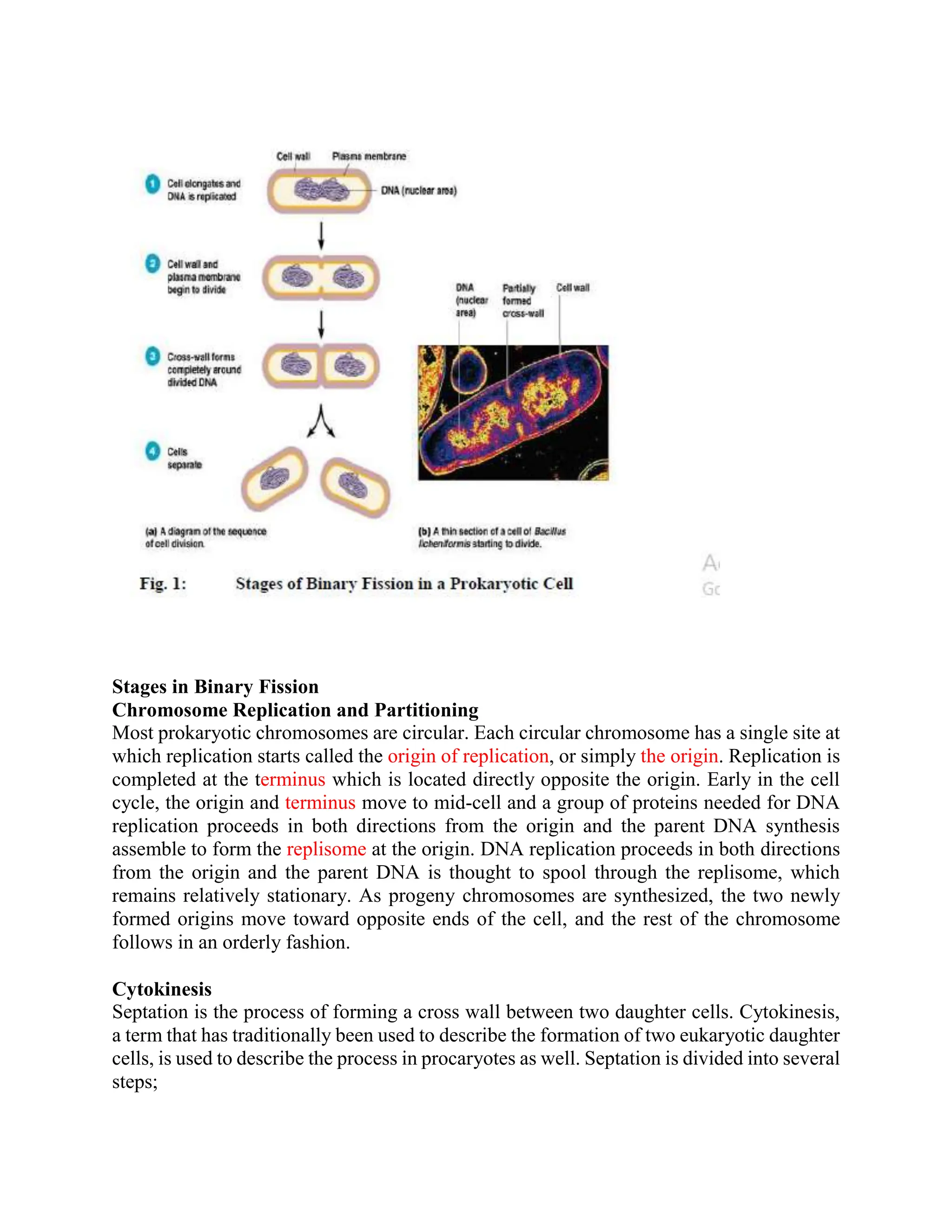 MICROBIAL GROWTH, REPRODUCTION AND CONTROL | DOCX