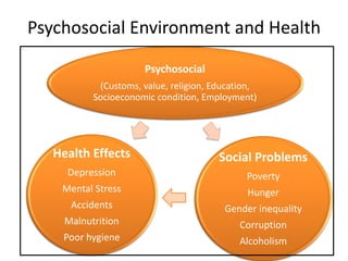 Environmental health lecture slide 1.pdf