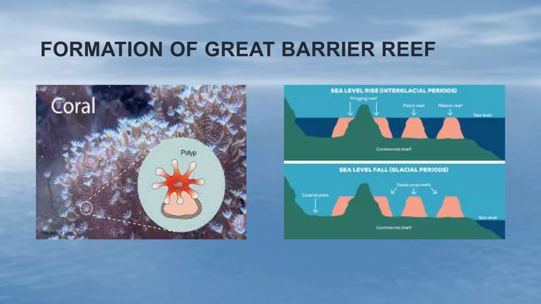PHSC 2 Great Barrier Reef.pptx
