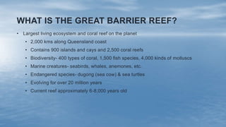 PHSC 2 Great Barrier Reef.pptx