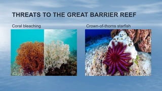 PHSC 2 Great Barrier Reef.pptx
