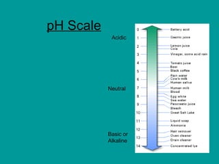P H Scale | PPT