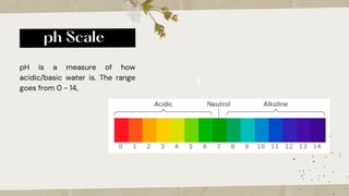 Ph scale | PDF | Chemistry | Science