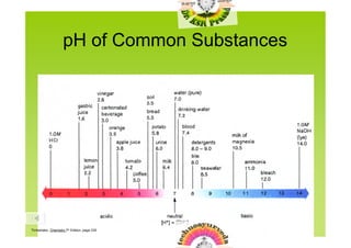 P H Scale And Calculations | PPT