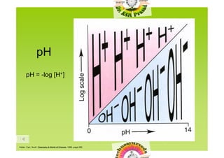 P H Scale And Calculations | PPT