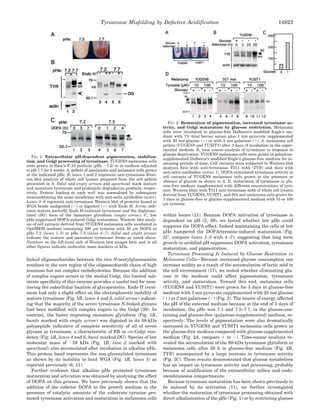 pH sinh lý ảnh hưởng đến sự tạo melanin - Copy.pdf