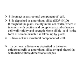 Phsiological role na si cl | PPT