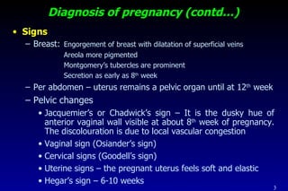 Phsiology Of Pregnancy, Female Pelvic Anatomy Mob: 7289915430, www ...