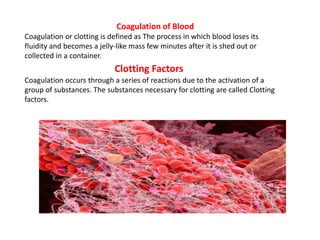phsiology of blood coagulation by dr chandbaby ansari.pdf