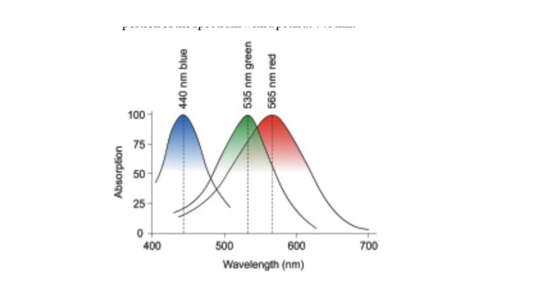 PHSIO OF VISION in Ophthalmology in detail | PPTX