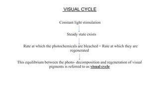 PHSIO OF VISION in Ophthalmology in detail | PPT