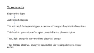 PHSIO OF VISION in Ophthalmology in detail | PPT