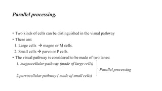 PHSIO OF VISION in Ophthalmology in detail | PPT