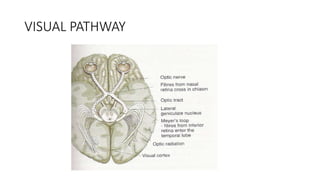 PHSIO OF VISION in Ophthalmology in detail | PPT