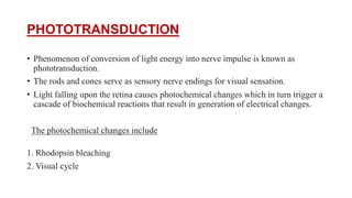 PHSIO OF VISION in Ophthalmology in detail | PPT
