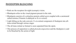 PHSIO OF VISION in Ophthalmology in detail | PPT