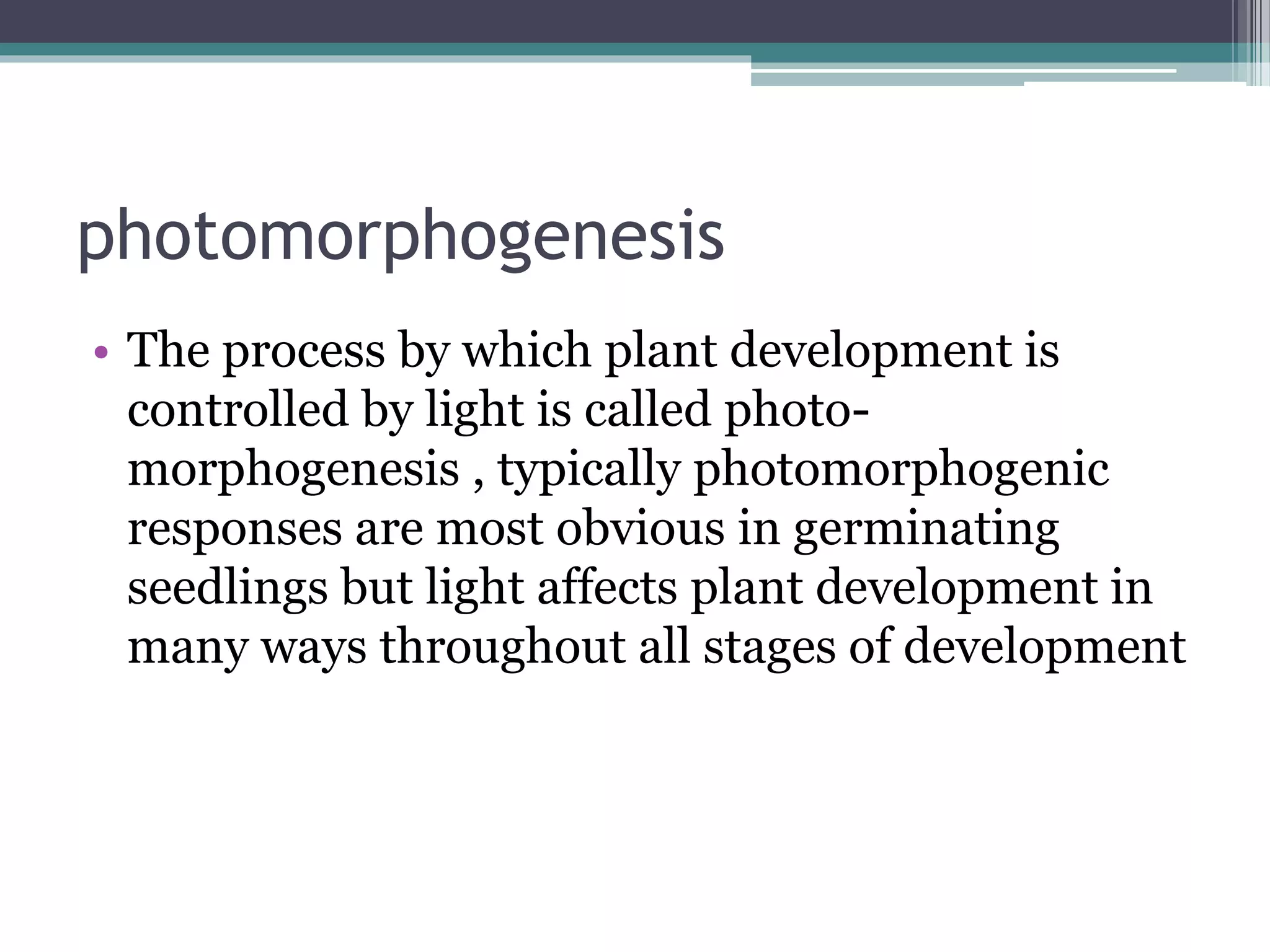 phytochrome | PPTX
