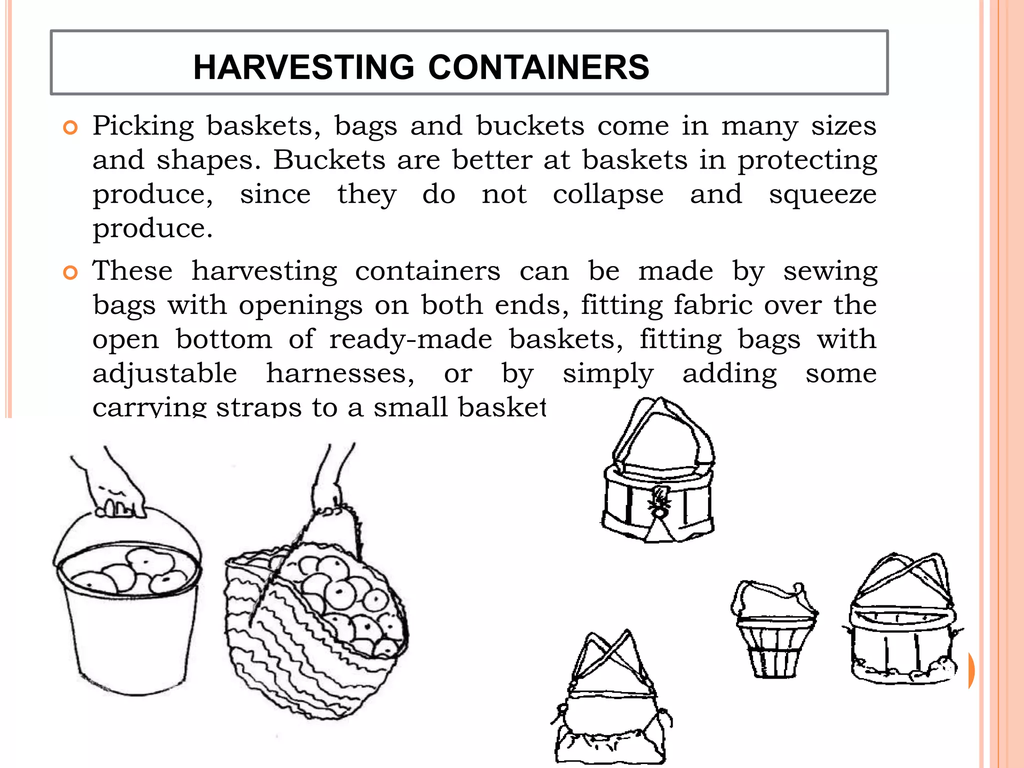 Harvesting practices for special market purpose | PPTX